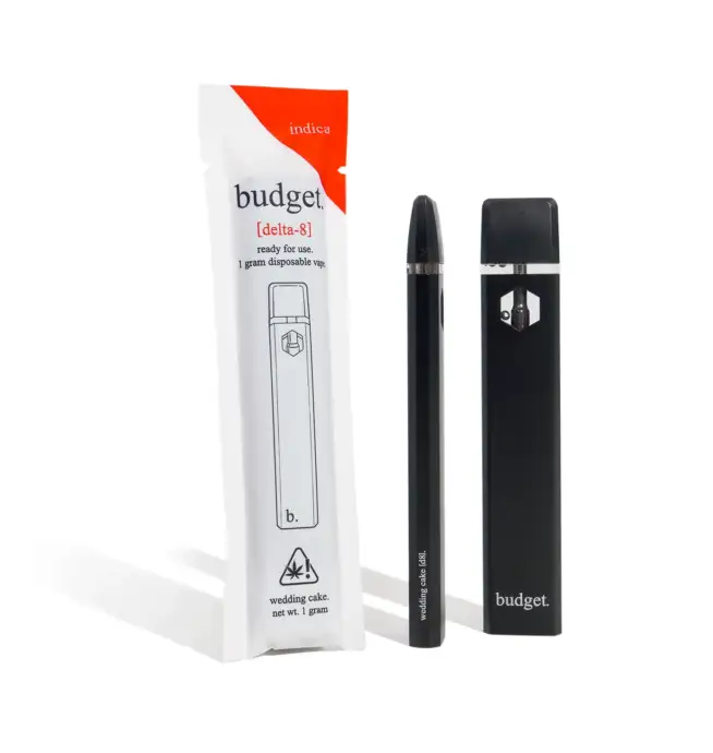 Budget 1 Gram Delta-8 Disposable Vape Pen – Exotic KC
